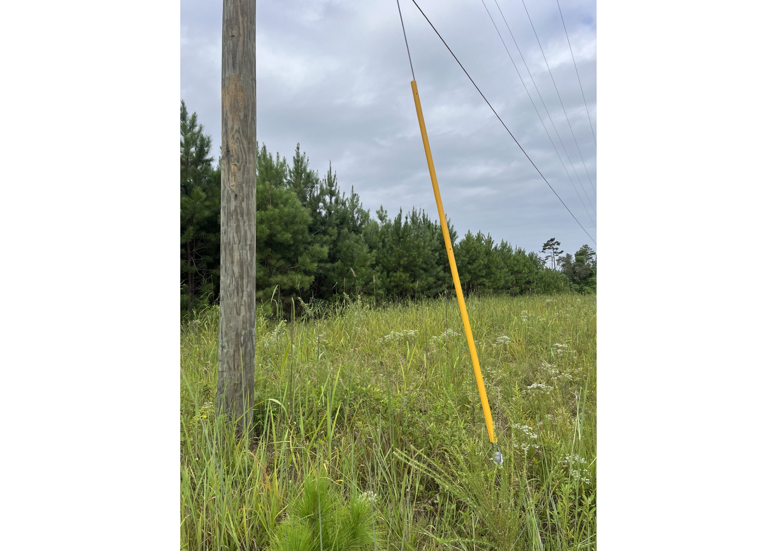 Yellow Guy Guard - Hardware - Telecom Equipment